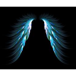 What color are your angel wings? - Quiz