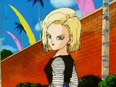 Bulma's Package | The Tail Of A Girl