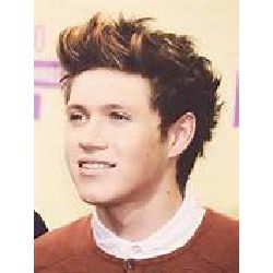 One Direction's Niall Horan: Hair - Poll