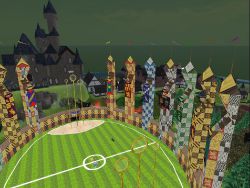 What Quidditch position should you play? - Quiz