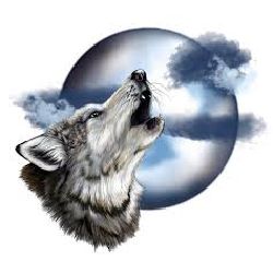 What is Your Wolf Aura (eye color)? - Quiz