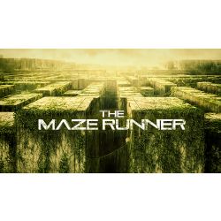 Could You Survive the Maze? (Maze Runner series) - Quiz