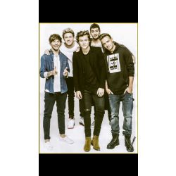 Who's Your Brother? -One Direction - Quiz