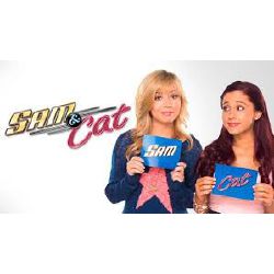 Sam or Cat? - Quiz