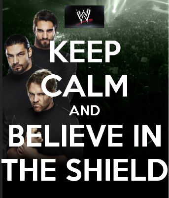 Which Shield Member Digs You? - Quiz