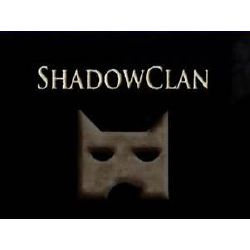 Whats your Shadowclan cat story? - Quiz