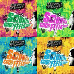 How well do you know the songs of Sounds Good Feels Good? - Test