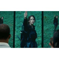 Will You Survive The Hunger Games? - Quiz