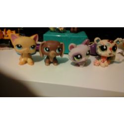 Which of these lps are you? - Quiz