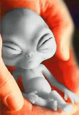 Are you an Alien/Hybrid from space? - Quiz