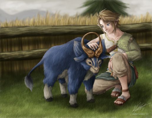 The Ultimate Twilight Princess Plot Quiz! (part 1) - Test