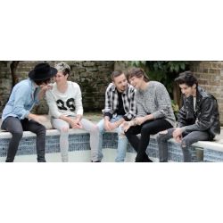 One Direction Knowledge Test - Quiz