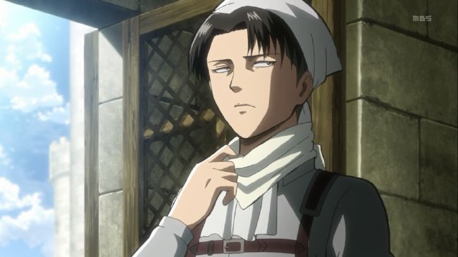 What does Levi Ackerman think of you? - Quiz
