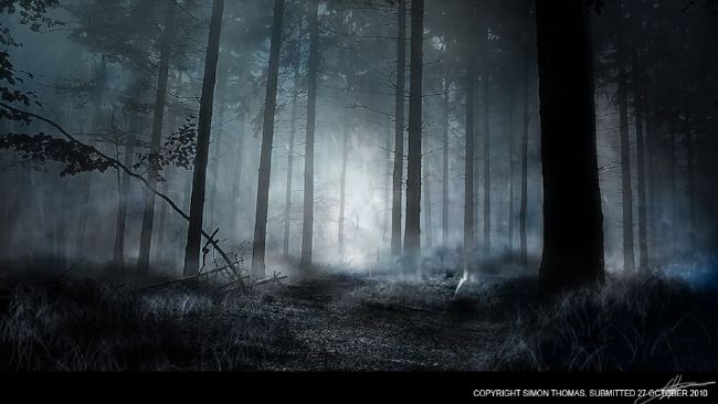 Your Autobot Sparkmate (Transformers Prime) - Quiz