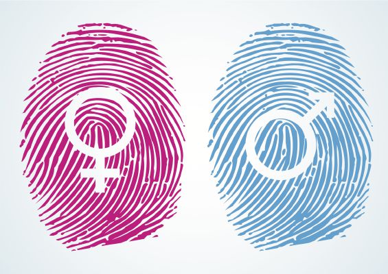 What Is Your Gender? - Quiz