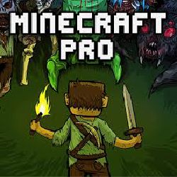 Are you A Minecraft Pro? - Test