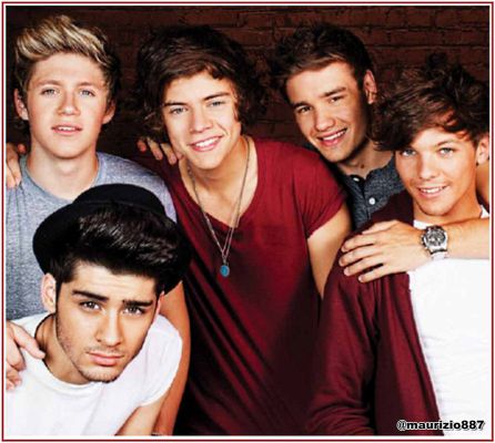 One Direction ;) - Survey