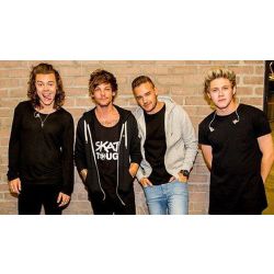 How well do you know one direction song lyrics? - Test