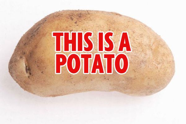 Are you a potato? - Quiz