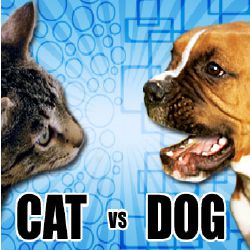 Dogs vs. Cats - Poll