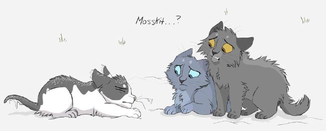 How well do you know Bluestar & Snowfur's Family Tree? - Test