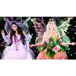 What Type of Fairy are you? - Quiz