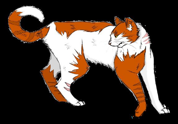 How well do you know Mapleshade - Test