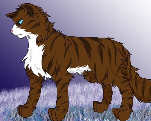 What dark forest cat is yandere for u - Quiz