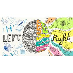 Left Brained or Right Brained? - Quiz