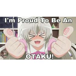 Are you a Knowledgeable Anime Otaku? - Test