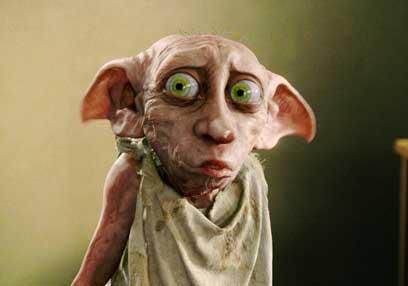 Can you answer Dobby's questions correctly? - Test