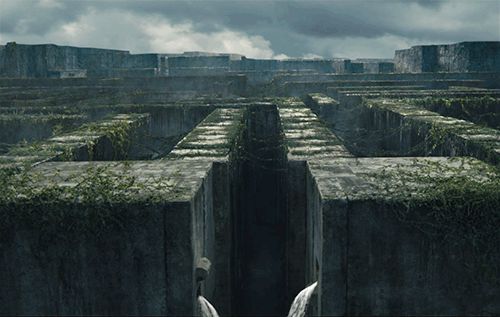 How well do you know the maze runner? - Test