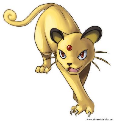 Pokemon Square | A Brand New Adventure