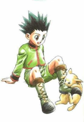 How much do you know about gon? - Test