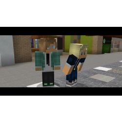 Female Minecraft Diaries Character Quiz - Quiz