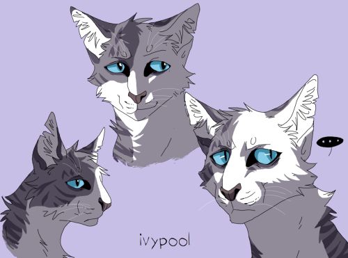 How well do you know Ivypool? - Test
