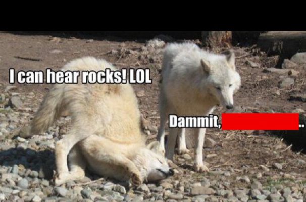 Do You Know Your Memes? - Test