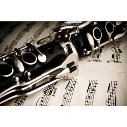 Which concert band instrument should you play? - Quiz