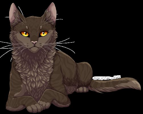How Well Do You Know Your Warrior Cats? - Test