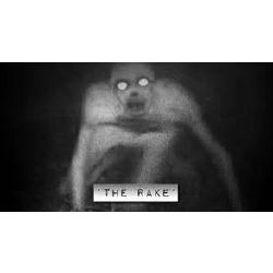 Do you know about the rake? - Test