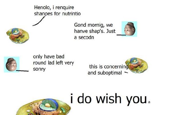 Nonsense Quiz - Quiz