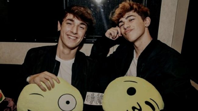 Which are you brikey or brolby - Quiz