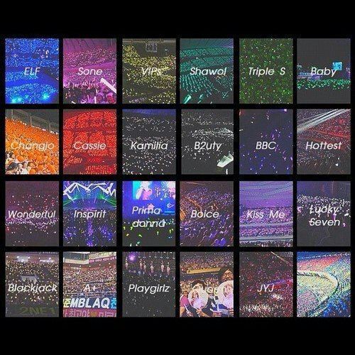 Do You Know Your Kpop Fandom Names Test do-you-know-your-kpop-fandom-names-test