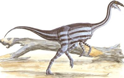 How many prehistoric creatures do you know? - Test