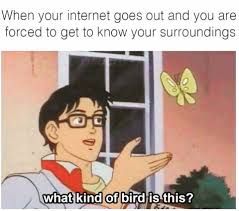 Guess The Anime From The Poorly Described Plot - Test