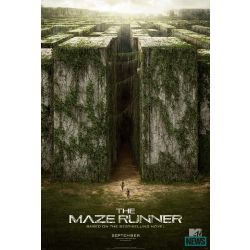 How Well do You Know Maze Runner? - Test