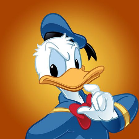 Donald Duck Quiz - Test