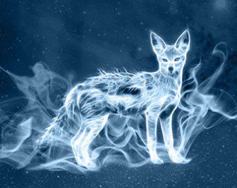 Harry Potter Patronus Test - Test