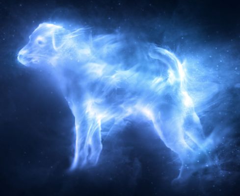 Harry Potter Patronus Test - Test