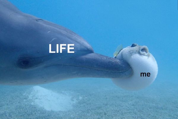 Oooooooooooooooooooooooooooooooooooooooooooooooo - Survey